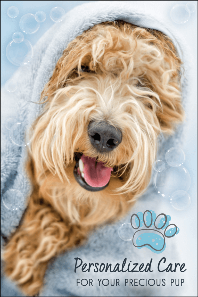 Grooming Reminder Postcards (PUPCARE) | Purchase Reminder Postcards for ...