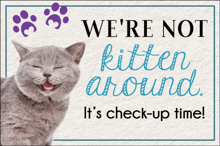 Cat Reminder Postcards (GREYCAT) | Purchase Reminder Postcards for ...