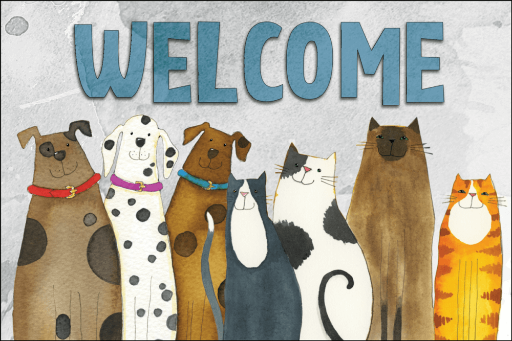 Veterinary Welcome Postcards (WELSTONE) | Purchase Postcards for ...