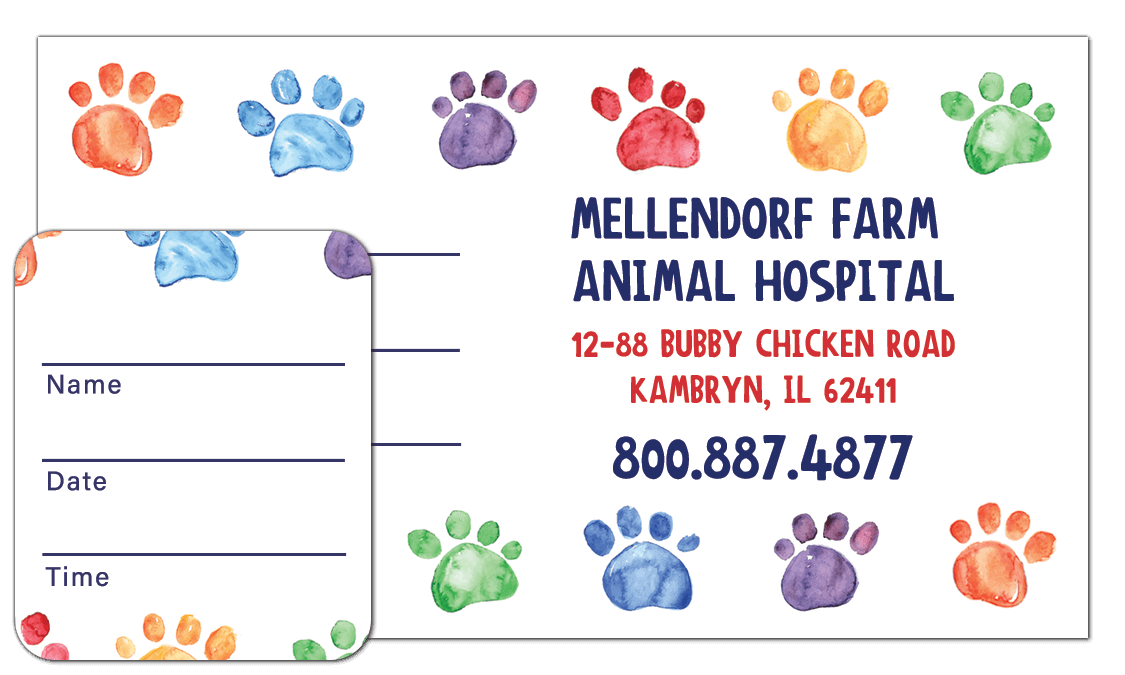 Pet Sticker Appointment Cards (ACCS175) | Buy Full Color Veterinary ...