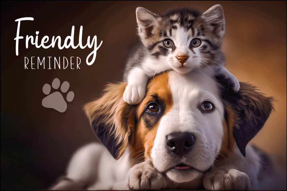 Year Round Reminder Postcards (FRIENDS) | Purchase Reminder Postcards ...