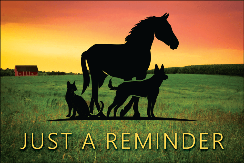 Farm Animal Reminder Postcards (SUNSET) | Purchase Reminder Postcards ...
