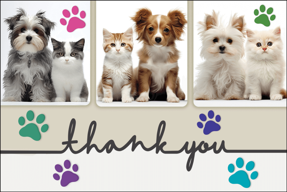 Veterinary Thank You Postcards (THANKS30) | Purchase Postcards for ...