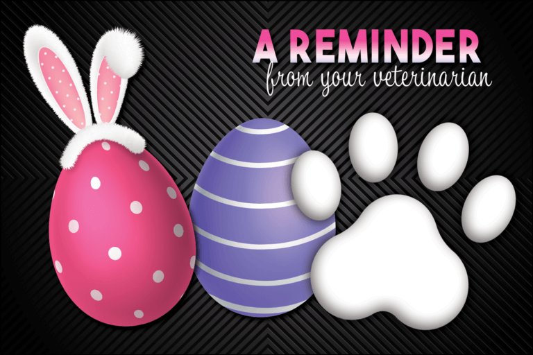 Easter Reminder Postcards (VETEGGS) | Purchase Reminder Postcards for ...