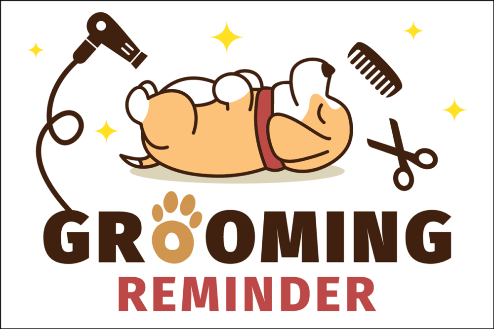 Grooming Reminder Postcards (RELAX) | Purchase Reminder Postcards for ...
