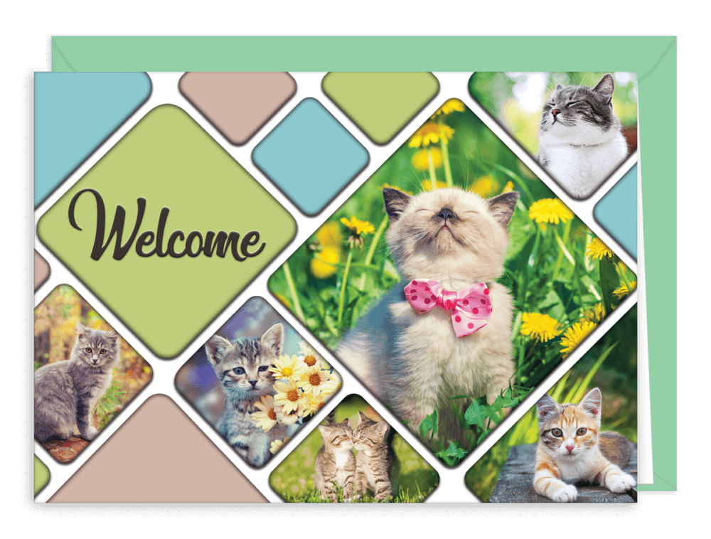 Pet-Themed Welcome Cards (WELKITTY) | Purchase Welcome Cards for ...