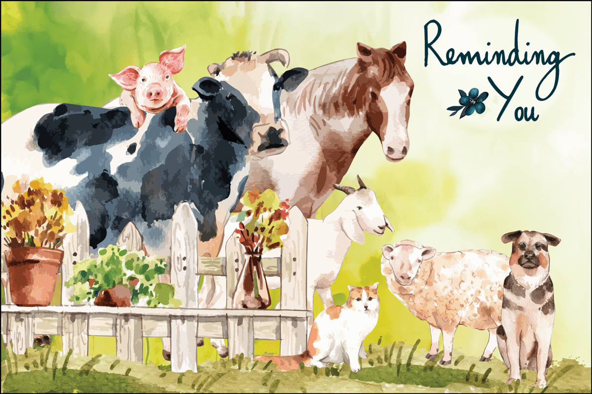Farm Animal Reminder Postcards (PIG) | Purchase Reminder Postcards for ...