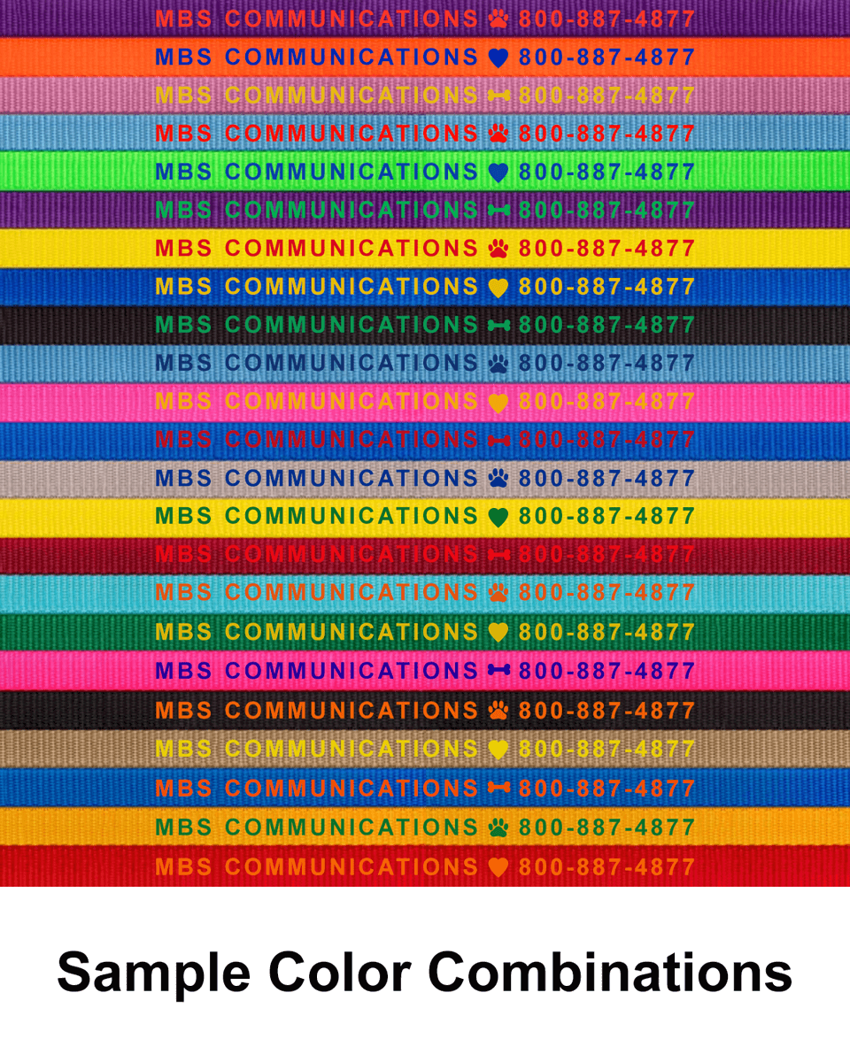 COLORMAX SLIP LEASH | MBS Communications Veterinary