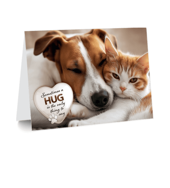 SYMHUGEUT_LAND - Vet